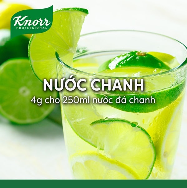 Knorr Lime Seasoning Powder 100g